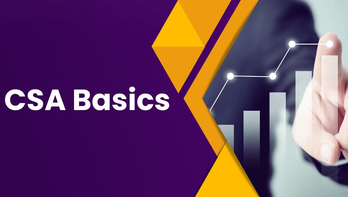 CSA Basics | Infinit-I